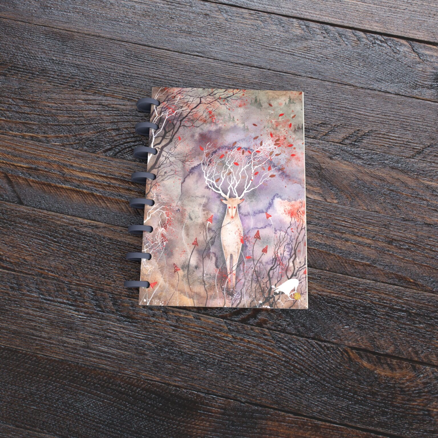 The Grimm Forest Collection #8 | The Rook & The Raven